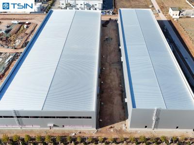 China Customized Design Steel Structure Workshop for Multi-building and Warehouse with Large-span Plants and Customized Design for Warehouse for sale