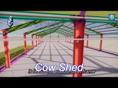 q235b astm a36 prefabricated steel cow shed with q355b beams 20lb roof load