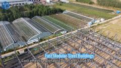 Custom steel design for warehouse & hangar