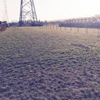 China HDPE Interlock Plastic Paver Grid 520x480x50mm for Turf Protection 9 per sqm for sale