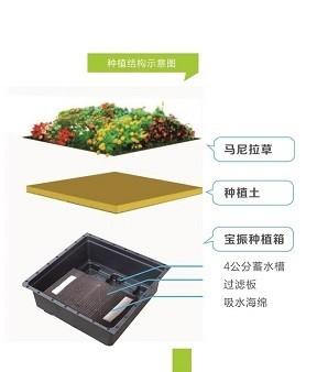 Cina Sedum di forma quadrata Green Roof Tray per piantatore di giardino di plastica grande e pianta verde in vendita