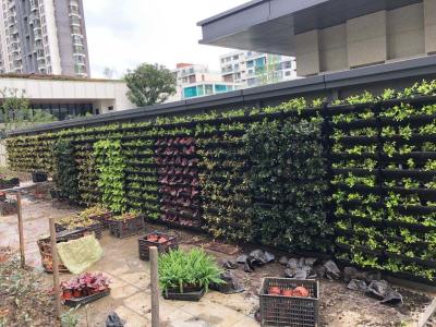 Cina Pianta verde per esterni, piante verticali di plastica per giardini, vasi di impilamento di fiori per pareti verdi con stile in vendita