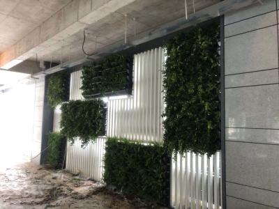 Cina Pianta verde per esterni, piante verticali di plastica per giardini, vasi di impilamento di fiori per pareti verdi con stile in vendita