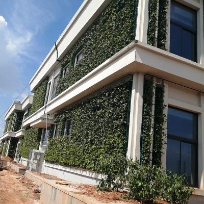 China Plantadores de jardim verticais de material plástico para habitação interna à venda