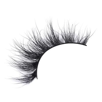 Cina La falsificazione di sguardo naturale 18mm nera morbida eccellente frusta fatto a mano in vendita