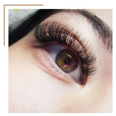 China clássico livre Lash Extensions da crueldade preta 15mm 13 fileiras à venda