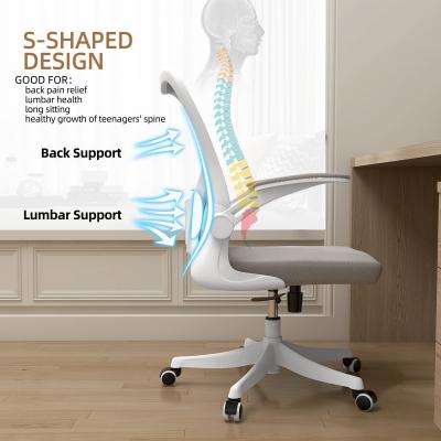 China Home Office Desk and Chair Mesh Back Office Chair with Lumbar Support Adjustable Height for sale