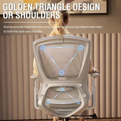 China Adjustable Lumbar Support Armrests Mesh Office Chair Sturdy Task Chair with Solid Back for sale
