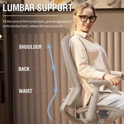 China Adjustable Lumbar Support Armrests Mesh Office Chair Sturdy Task Chair with Solid Back for sale