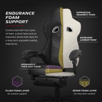 China Integrated Headrest Ergonomic Computer Chair with Modern Design and Recliner Function for sale