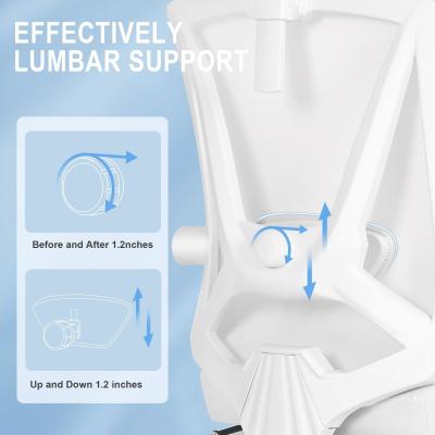 Cina Executive High Back Office Chair con 360 giri e supporto lombare regolabile 2D in vendita