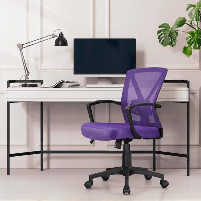 China 3 Gas Lift Ergonomic Office Chair with Customized Color and Adjustable Lumbar Support for sale