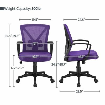 China 3 Gas Lift Ergonomic Office Chair with Customized Color and Adjustable Lumbar Support for sale