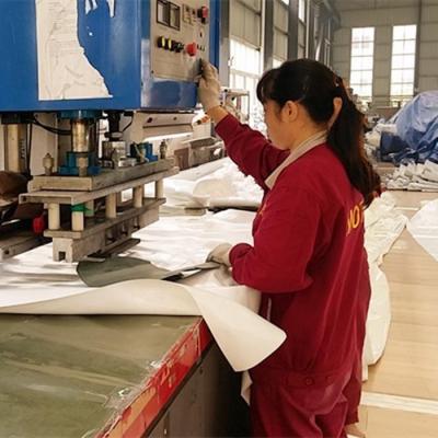 Cina Serbatoio di immagazzinamento a doppia membrana di biogas in vendita