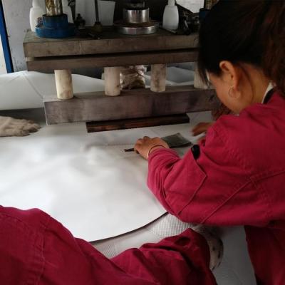 Cina Serbatoio di immagazzinamento a doppia membrana di biogas in vendita