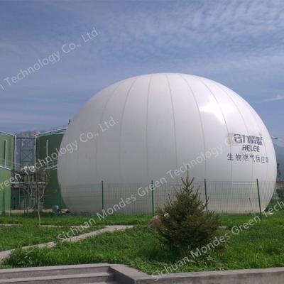 Cina OEM Terra montata doppia membrana Biogas Holder Anticorrosione controllo automatico in vendita