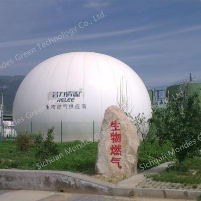 Cina OEM Terra montata doppia membrana Biogas Holder Anticorrosione controllo automatico in vendita
