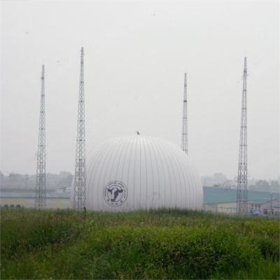 Cina 50 ‰ 200 000 m3 contenitore a doppia membrana di gas libero per i progetti di biogas in vendita