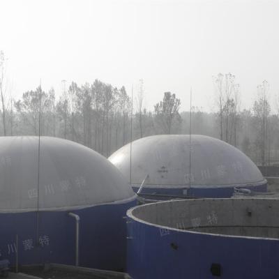 Cina Forma sferica del supporto a gas a doppia membrana per il deposito di biogas in vendita