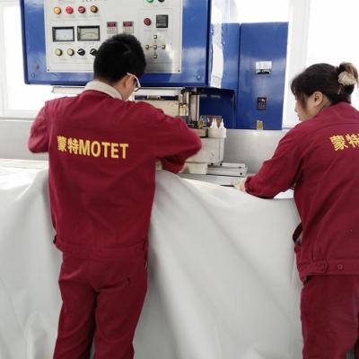Cina Biogassa a doppia membrana per il trattamento delle acque reflue delle aziende agricole in vendita