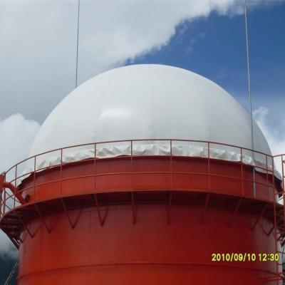 Cina Controllo automatico Balone a gas a doppia membrana su digestore Installazione rapida in vendita