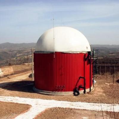 Cina Controllo automatico Balone a gas a doppia membrana su digestore Installazione rapida in vendita