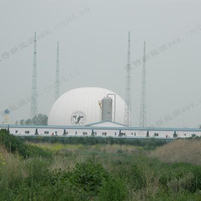 China Dual Layer Membrane Structure Gas Balloon Freestanding For Biogas Plant for sale
