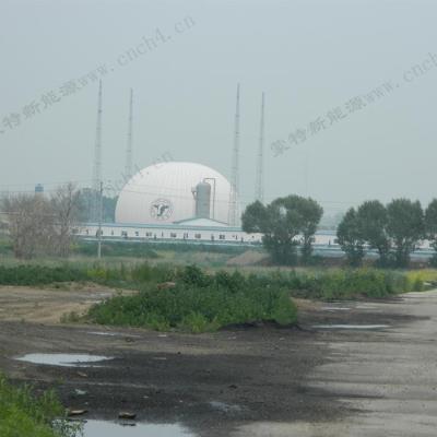 China Dual Layer Membrane Structure Gas Balloon Freestanding For Biogas Plant for sale