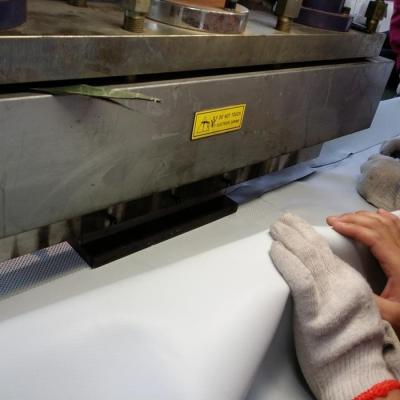 China Dual Layer Membrane Structure Gas Balloon Freestanding For Biogas Plant for sale