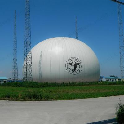 China Ground Mounted Double Membrane Biogas Storage Tanks Gas Holders Shockproof for sale