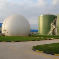China Free Standing Double Membrane Biogas Balloon For High Pressure Gas Storage for sale
