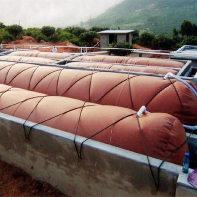 Cina Copertura di raccolta di biogas di fango rosso resistente all'invecchiamento per l'azienda agricola in vendita