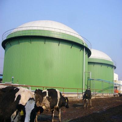 China 1500m3 Roof Top Dual Membrane Biogas Balloon for Biogas Storage for sale