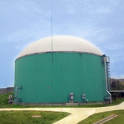 China 1500m3 Roof Top Dual Membrane Biogas Balloon for Biogas Storage for sale