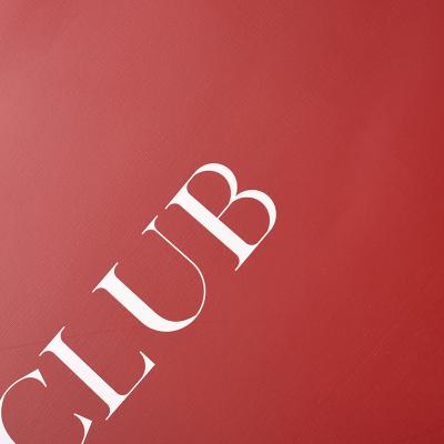 Cina Borse ultraleggere del regalo della carta kraft del partito con le maniglie biodegradabili in vendita