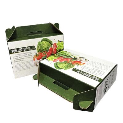Cina Contenitore di carta ondulato di frutta antipolvere con il bene durevole riciclato maniglia in vendita