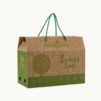 China Reusable Leakproof Corrugated Gift Box With Handle Multipurpose for sale