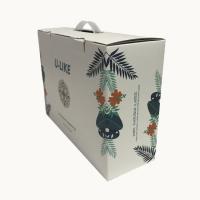 China Reusable Leakproof Corrugated Gift Box With Handle Multipurpose for sale