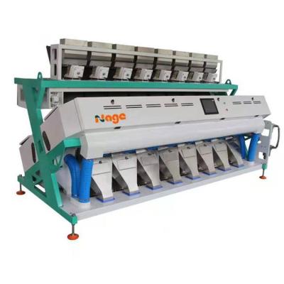 Cina scivoli uniformi di distribuzione 192 del selezionatore di colore del riso 2000kg/H in vendita