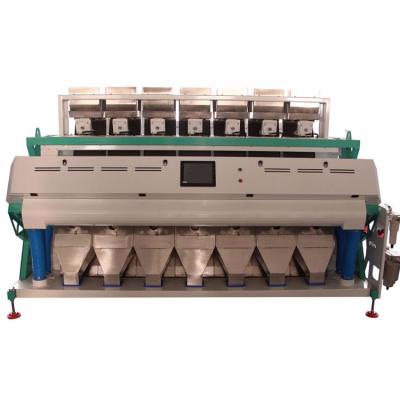Cina Selezionatore di colore del grano delle telecamere CCD con il sistema ottico di rendimento elevato LED in vendita