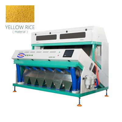 Cina Lo SGS 384 fa scendere la capacità d'elaborazione per mezzo di uno scivolo della macchina 10T del selezionatore di colore del grano in vendita