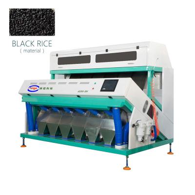 Cina Selezione di colore dello SGS 10T Bean Sorting Machine con 5400 pixel in vendita
