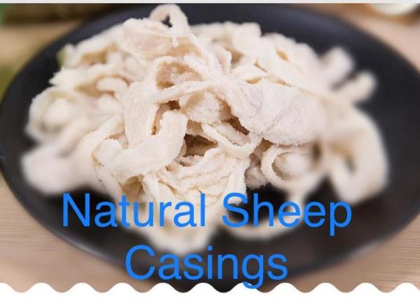 Quality NATURAL SHEEP CASING for sale