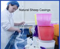China Natural Sheep Casing 18-22mm Halal Certified for Sausage Production for sale