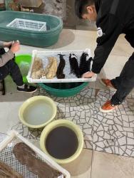 China Factory - Guangzhou changrong hairdressing product ltd.,co