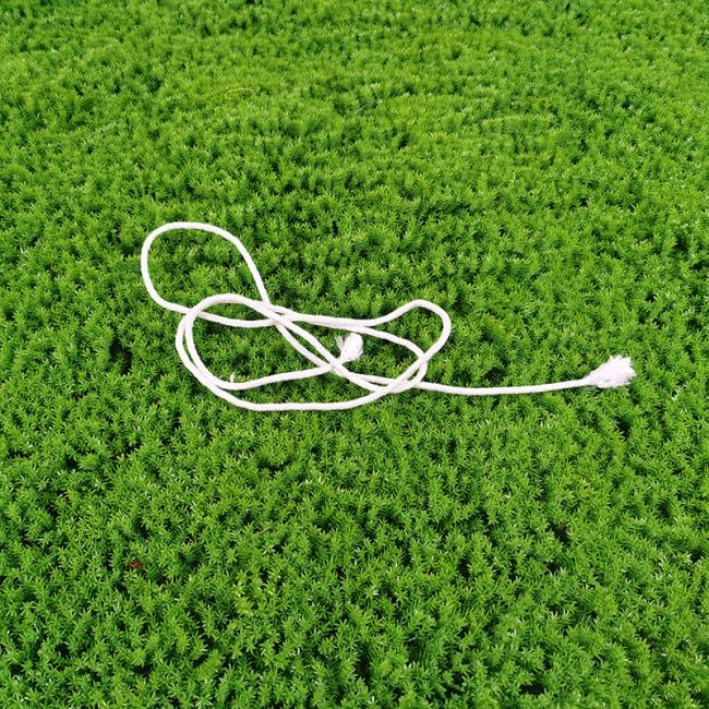 Close-up of poultry drinker