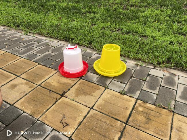 Red plastic poultry drinker showing cone-shaped design and water dispensing mechanism