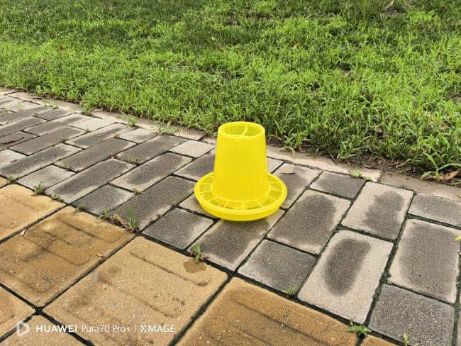 RBLCHN poultry feed bucket showing automatic feeding system and durable construction