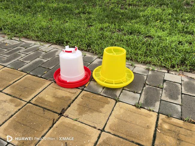 RBLCHN 2.7L Plastic Chicken Feed Bucket with metal handle and removable lid