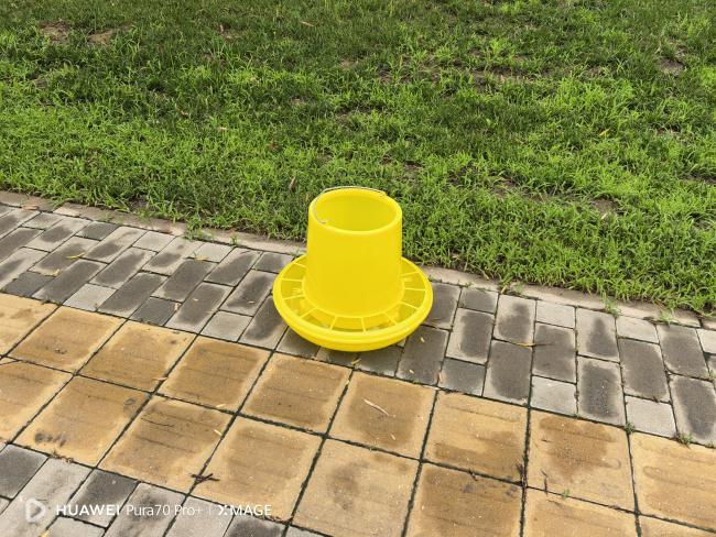 RBLCHN 11L Poultry Feed Bucket showing yellow round design with feeding holes